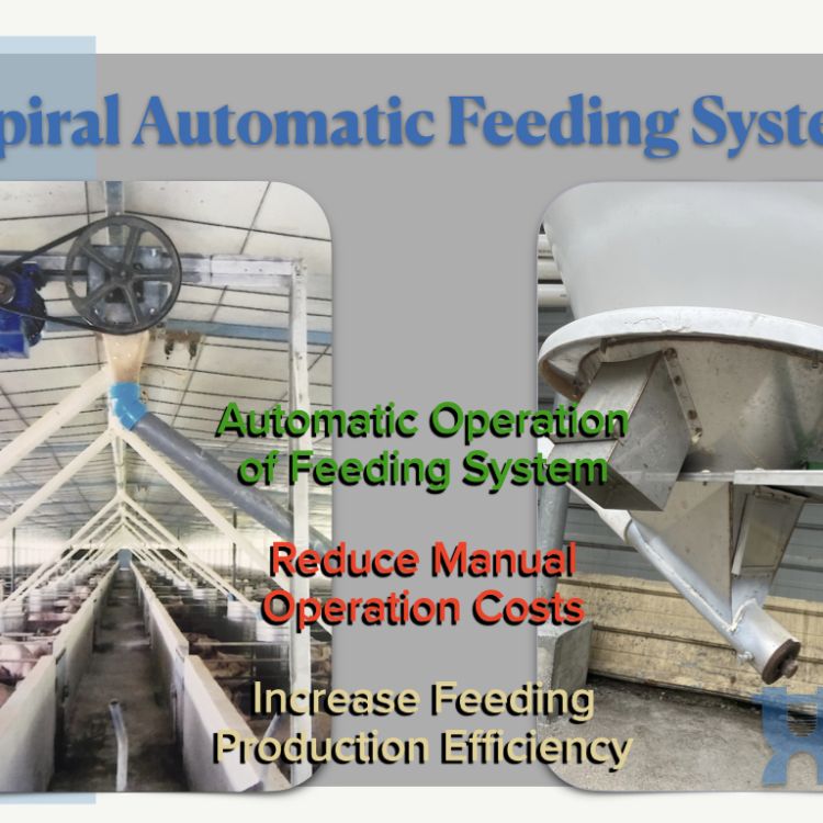 Spiral Automatic Feeding System 2.5, 3, 4 Inch Spiral Conveyor ...