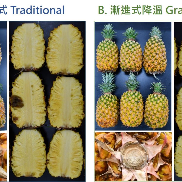 Products-Taiwan Smart Agriweek