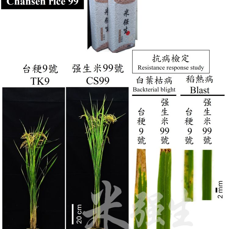 SunFresh Organic Vegetables and Fruits-Taiwan Smart Agriweek