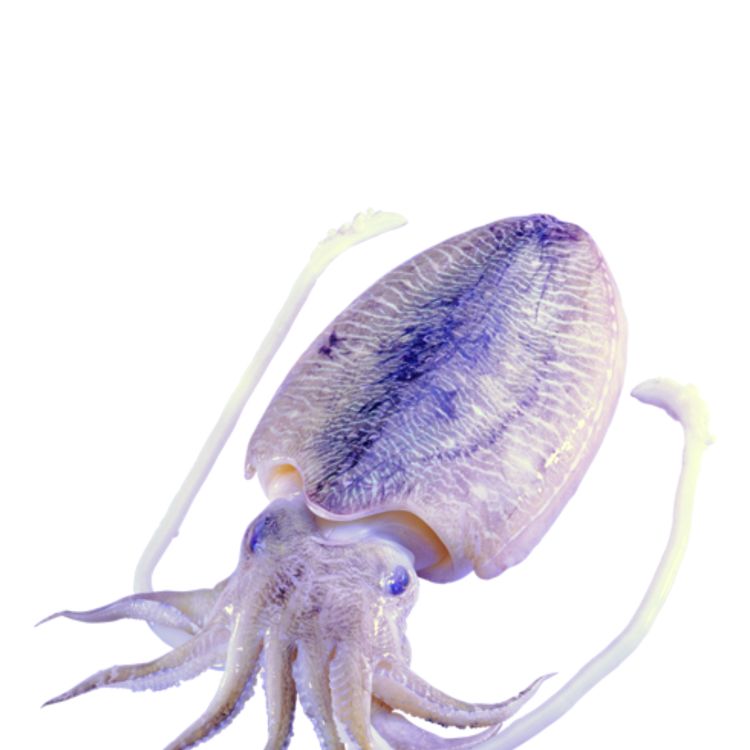 Products-Taiwan Smart Agriweek