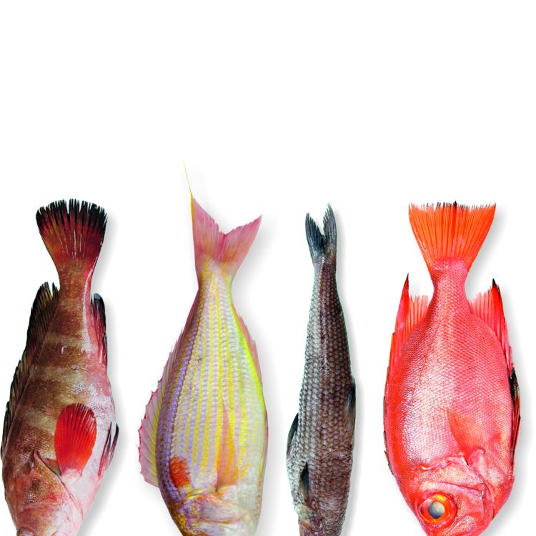 產品一覽-臺灣智慧農業週