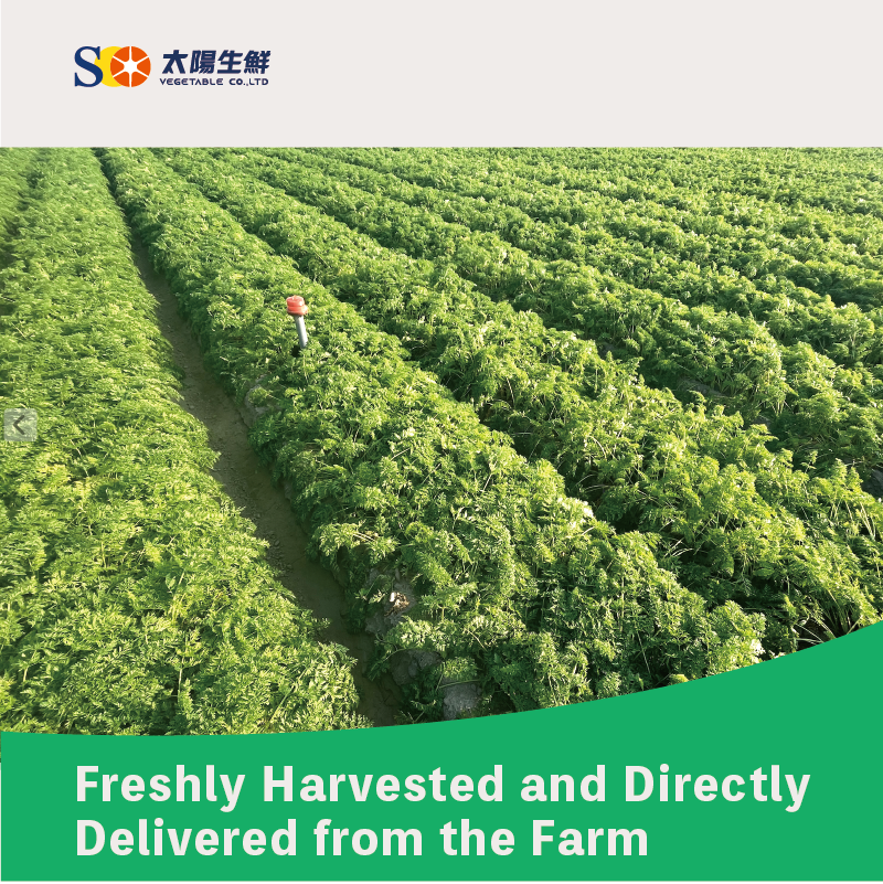 SunFresh Reassuringly Traceable Produce-Taiwan Smart Agriweek