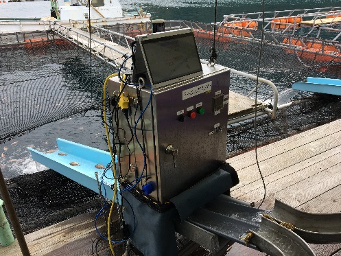 iFISH NED Fish shrimp Counter