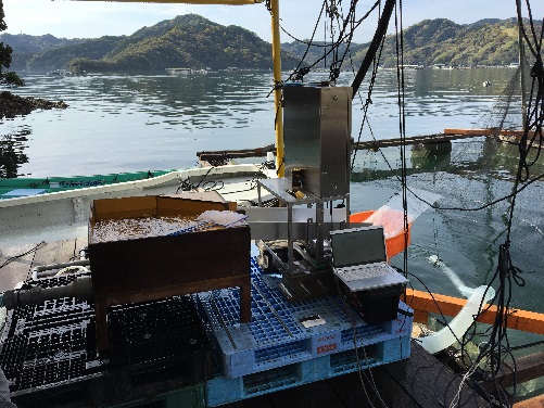 iFISH NED Fish shrimp Counter