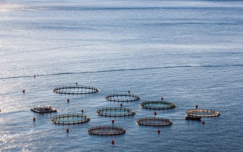 Transitioning to Offshore Cage Aquaculture: A Sustainable Trend in Fish ...