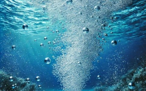 Seeking Microbubble Devices for Aquaculture Oxygenation Needs | Taiwan ...